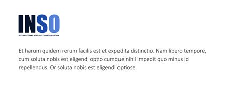 Inso Brand Guide Brand Assets And Usage Instructions