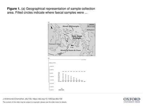 Geographical Representation Examples At Chris Stevens Blog Geographical Representation Examples At Chris Stevens Blog