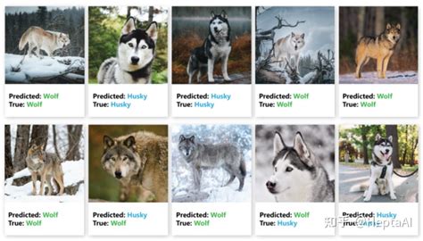 可解释性 101：ai可解释性的定义与分类