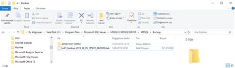Automatic Sql Database Backup