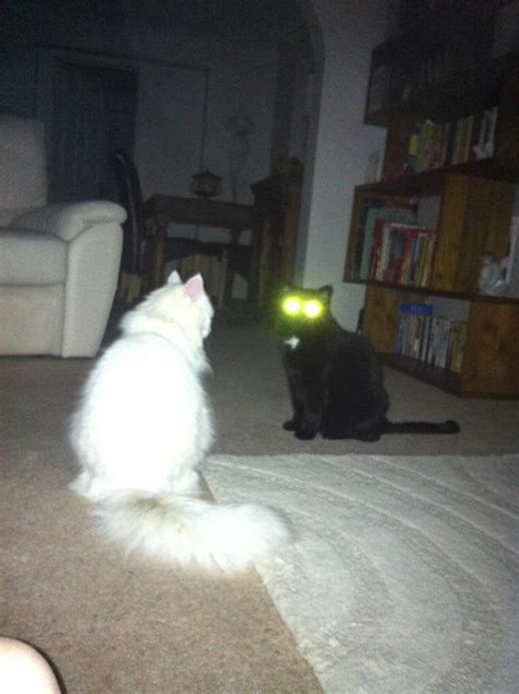 Assuming Direct Control Rmasseffect