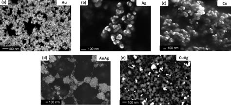 FESEM Images Of A Au B Ag C Cu D AuAg And E CuAg NPs