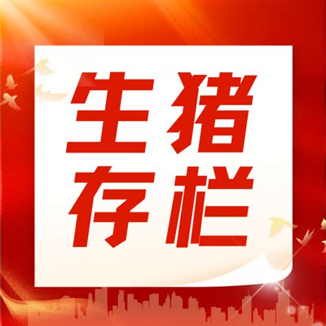正大猪博士