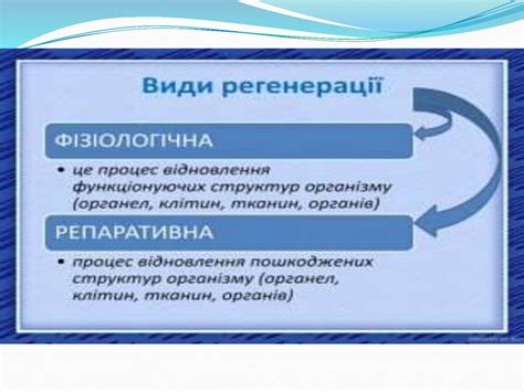 Біологія і екологія Тема 4 Репродукція та розвиток презентация онлайн