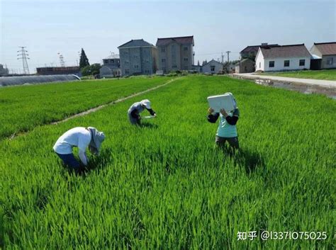 农作物植保员的福利待遇怎么样农作物植保员证书有什么用丨农圣教育 知乎