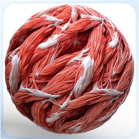 Anatomy Seamless Texture By Zames1992d