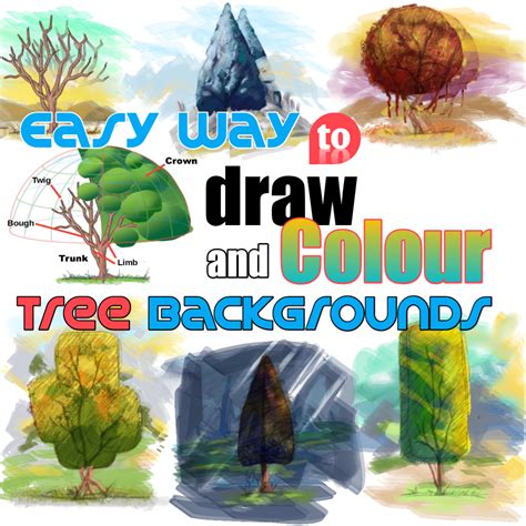 Dibujo Un Arbol Y Sus Partes Imagui