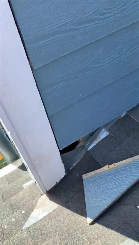 Castle Rock Pest Control Home Facebook