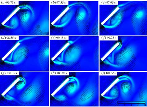Colour Online Near Wake Vortex Evolution Contours Of Vorticity