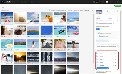 Use The Contributor Portal On Adobe Stock Adobe Learn And Support Tutorials