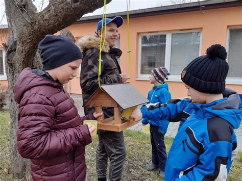 Ptáci V Zimě Speciální škola Elpis Brno