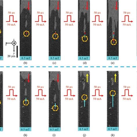 A F Magnetic Domain Patterns Observed By Magneto‐optical Polar Kerr Download Scientific