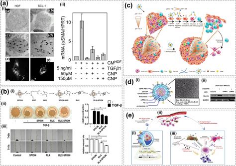 Nanoparticles Mediated Tumor Microenvironment Modulation Current Advances And Applications