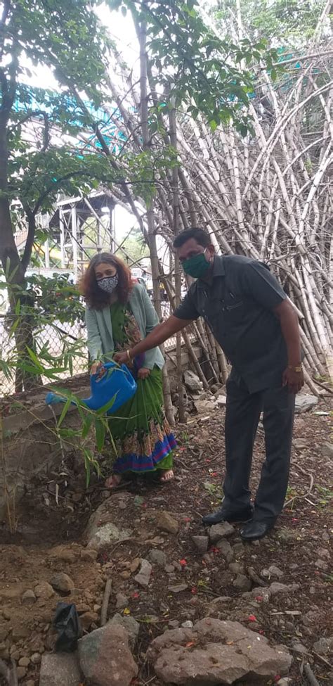 Tree Plantation Activity SNDT College Of Home Science Pune India Tree Plantation Activity SNDT College Of Home Science Pune India