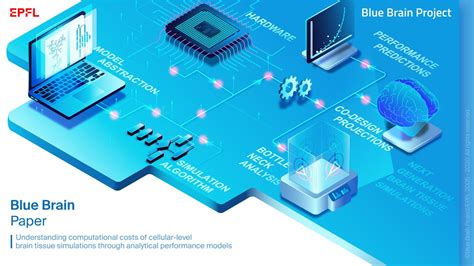 Enabling Next Generation Brain Simulations With Performance Modelling