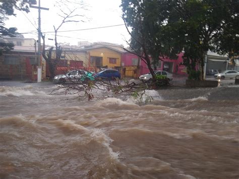 Temporal Derruba árvores E Provoca Alagamentos Em Campinas Veja