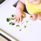The Stress Free Approach To Baby Led Weaning Red And Honey