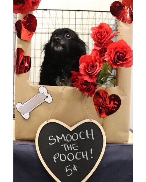 Overview For Minichungus