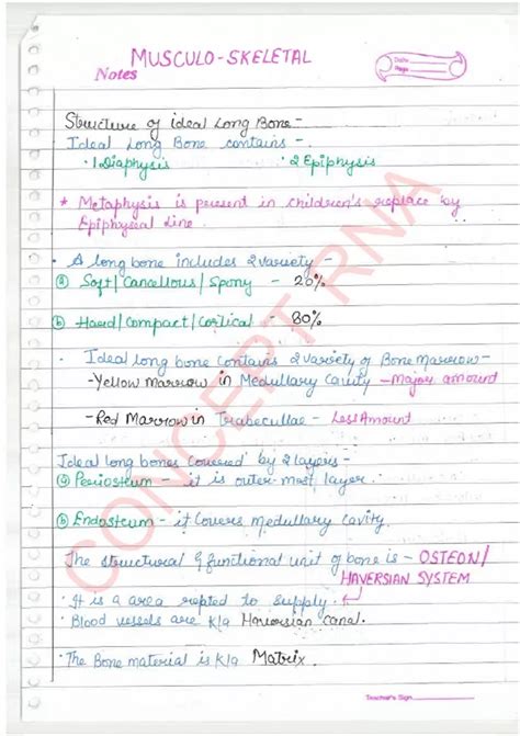 Musculo Skeleton System Complete Handwritten Notes Rn Nursing Stuvia Us