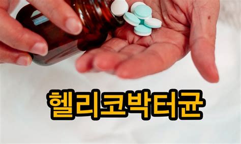 헬리코박터균 증상 및 원인 검사 양성 약 치료 필요한 이유 네이버 블로그