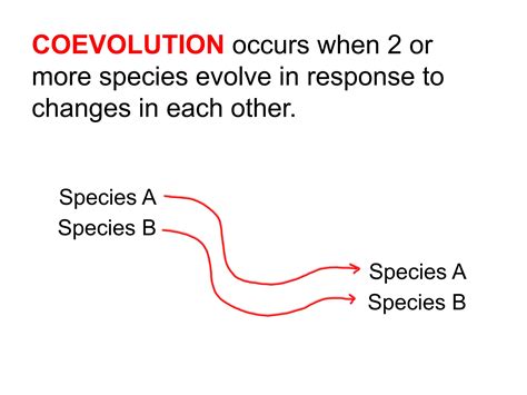 Patterns Of Evolution Slides For Canvas Notes Pptx