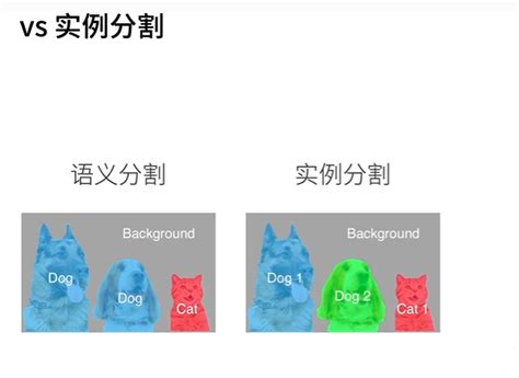 【动手学深度学习】语义分割 知乎