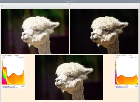 Gimp Und Opencv Autom Bildoptimierung Ber Histogramme
