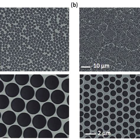 Sem Pictures Of Cu Nanomeshes With Different Geometries Fabricated Download Scientific Diagram
