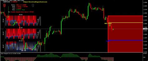 Signal Watch Dove Trading School™