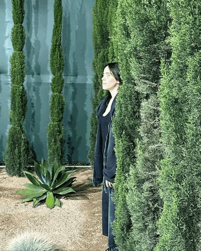 Billie Eilish Bush  Billie Eilish Bush Hiding Discover And Share S