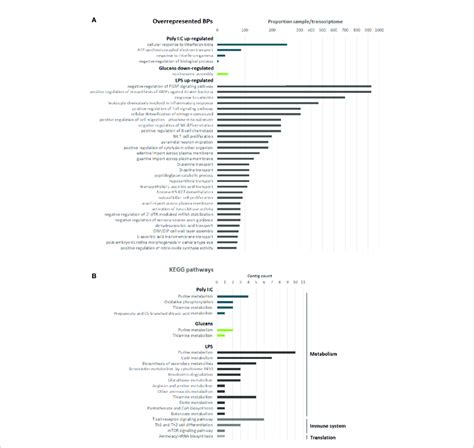description of the functional annotation for the degs in blue poly
