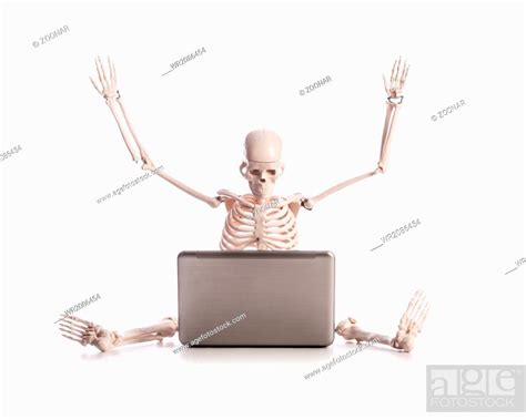 Skeleton Working On Laptop Stock Photo Picture And Royalty Free Image Pic WR
