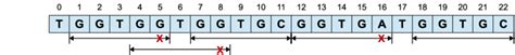 Example sequence S over the DNA alphabet Σ A C G T Five Download Scientific Diagram