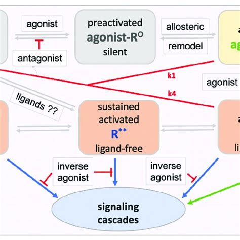 Proposed Model Of A Gpcr With Multiple Interconverting Conformational Download Scientific