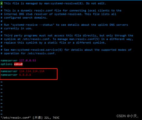 linux服务器域名解析失败解决 linux 域名解析暂时失败 csdn博客