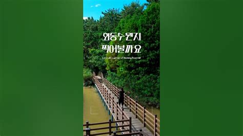 사진여행 자연을 만끽하고 걸으며 카메라로 풍경사진 찍어볼까요 사진촬영 부산풍경 사진찍기좋은곳 Youtube