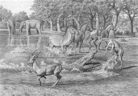 Reconstruction By Mauricio Anton Of The Late Miocene Period Nawata