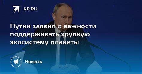 Путин заявил о важности поддерживать хрупкую экосистему планеты Kp Ru