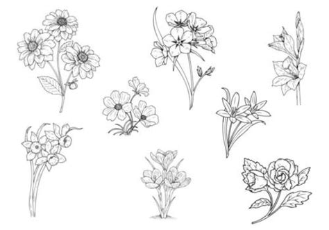 Hand Drawn Notebook Doodle Flower Vector Illustration Download Free