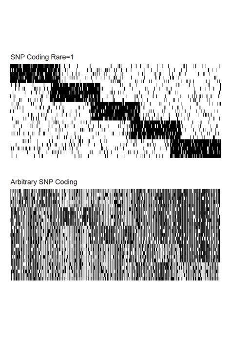 Constructed SNP Datasets With SNP Coding Rare 1 Top And Arbitrary SNP Download Scientific