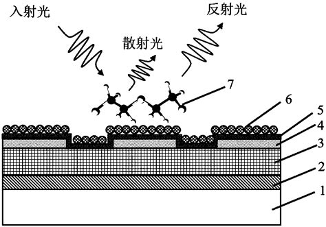 Enhanced Raman And Infrared Double Spectrum Device With Metal And
