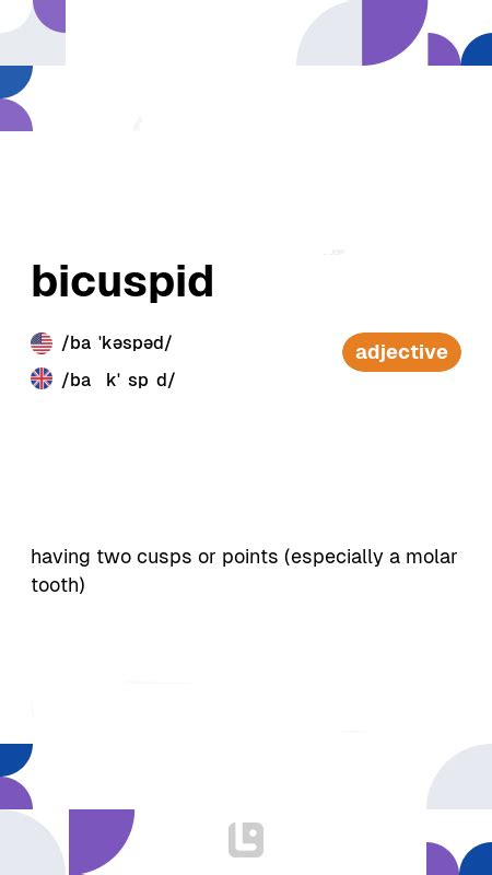 Definition And Meaning Of Bicuspid Langeek