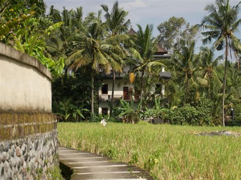 발리의 에덴 하우스 우붓 발리 Eden House Ubud Bali 아고다 Agoda