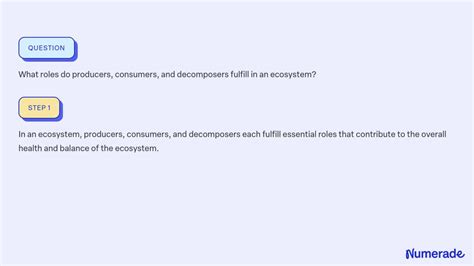 Solvedwhat Roles Do Producers Consumers And Decomposers Fulfill In