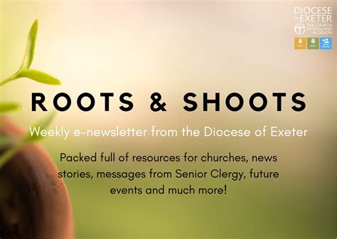 Roots And Shoots 1 Diocese Of Exeter