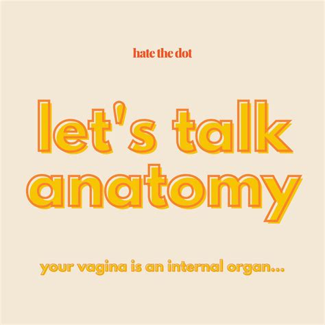 Hate The Dot 🗣 Your Vulva Is Not Your Vagina And Your