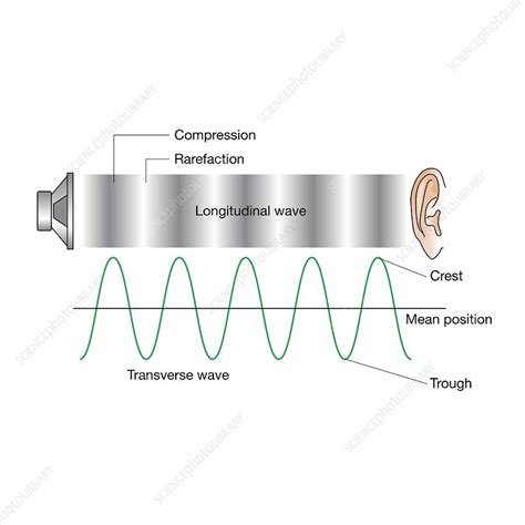 Rarefaction Waves