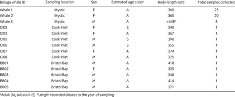 Beluga Whale Location Sex Estimated Age Class Body Length And Number