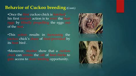 Cuckoo Search Algorithm Csa Swarm Intelligence Pptx