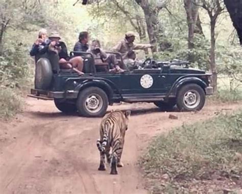 Pin By Vera Waldon On Collin Stafford Johnson Antique Cars Antiques Vehicles